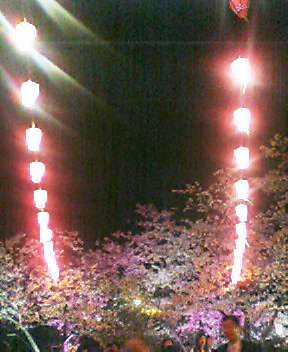 drecom_tuki_namidaのブログ : 夜桜 -PART2-