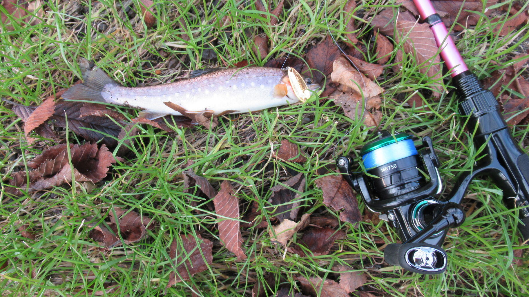 北海道の東方から : ダイワ MR750で実釣編