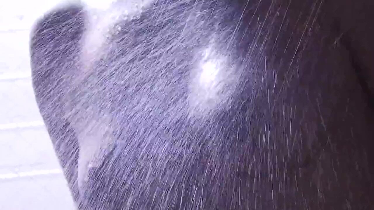 ㋓㋙㋓㋙ _e_c_ 超 ero cetera : アタッカーズ