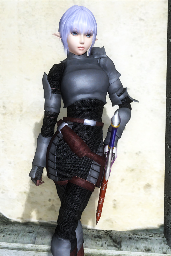 Adventurer Plate Armor : Tower of Rapunzel