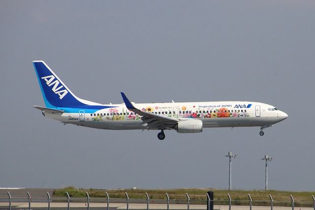 写メ鉄:京浜島つばさ公園で飛行機撮影