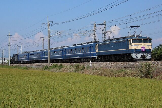 写メ鉄:両毛線ELぐんまきりゅう（EF65501）