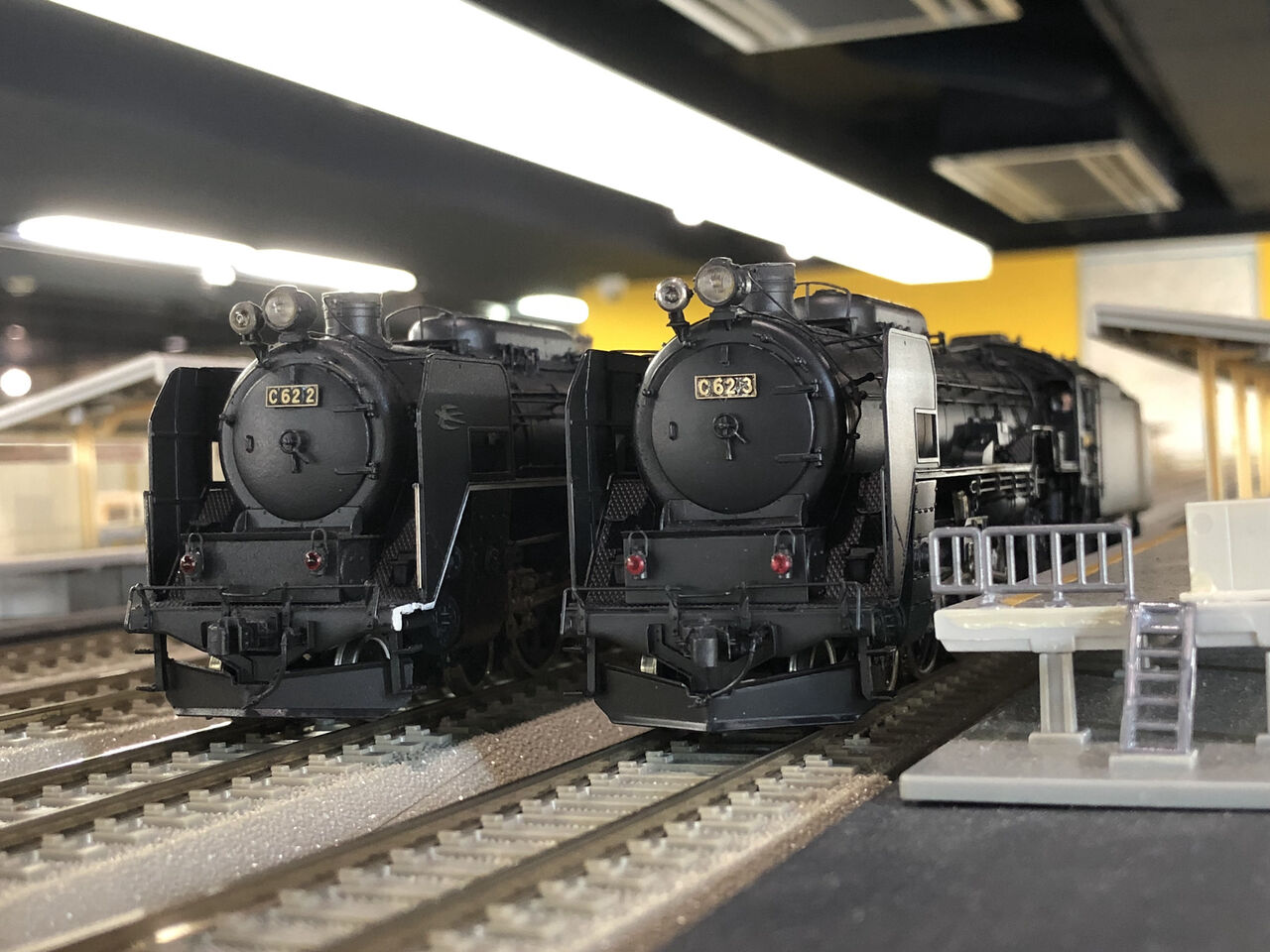 珊瑚模型 C623 : K's garage