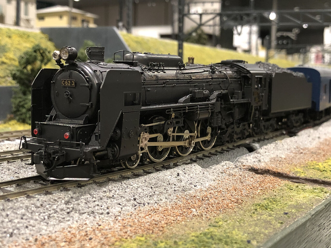 珊瑚模型 C623 : K's garage