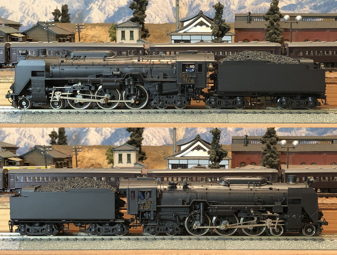 珊瑚模型 C623 : K's garage