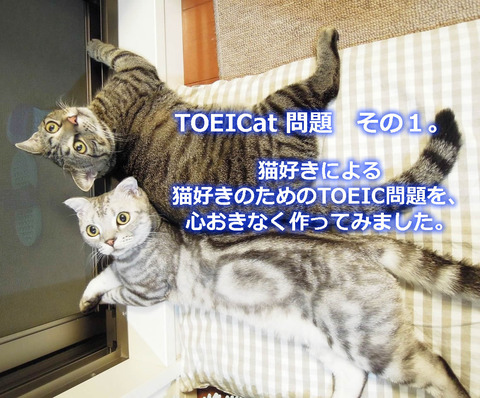 古澤が、TOEICと洋書と（ときどき猫）を語ります。:TOEICat 問題 その1