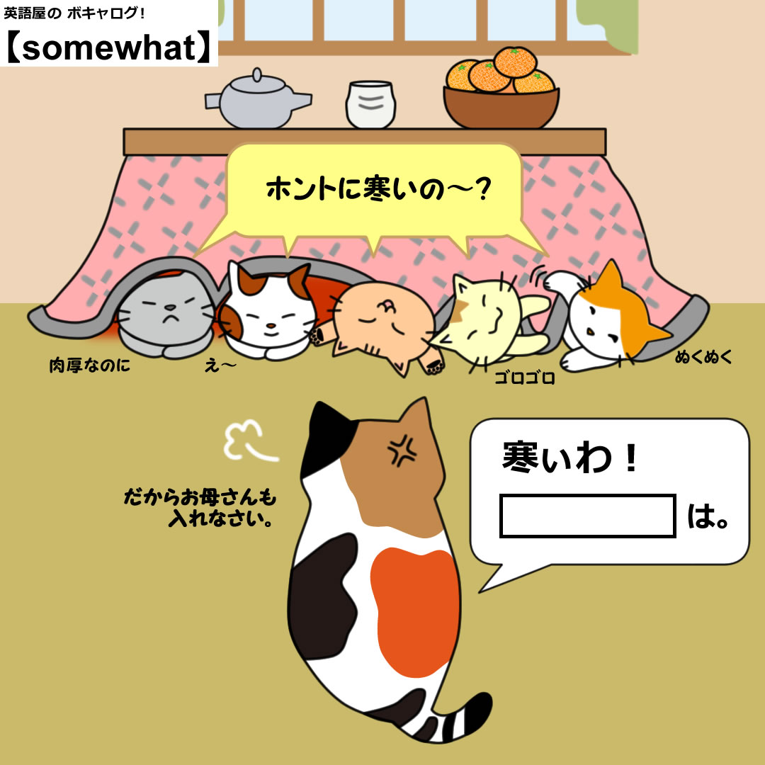 somewhat : 英語屋のボキャログ！