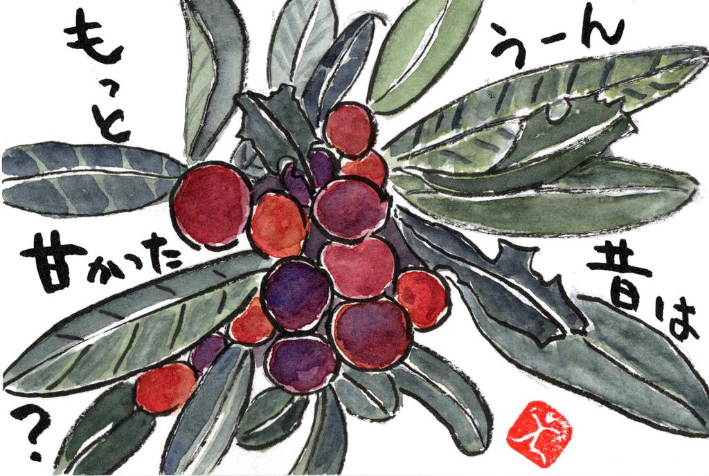 2019年06月12日 : 恵美子さんのひとり言
