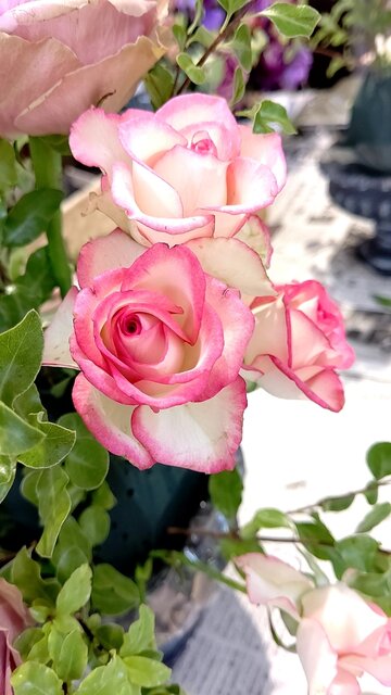 いつものフラワーアレンジメント教室 : フィギュアスーツ製作日記 /たまに障がいのある息子の事も呟きます(^o^)