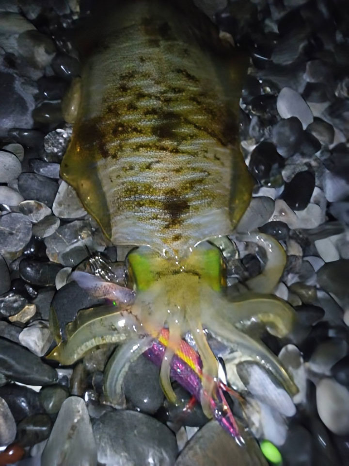 Cross Road / DepthRange - livedoor Blog（ブログ）