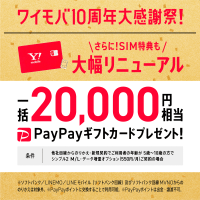 【5～18歳限定】ワイモバイルにSIMだけ新規契約すると20,000円相当のPayPayポイントプレゼント。大人はMNP限定 | 激安速報 特価品伝道者