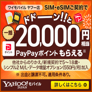 【条件注意】ワイモバイル10周年キャンペーン開催中。SIM契約で20,000ポイント、PayPayカード作成＆利用で最大10,000ポイント | 激安速報 特価品伝道者