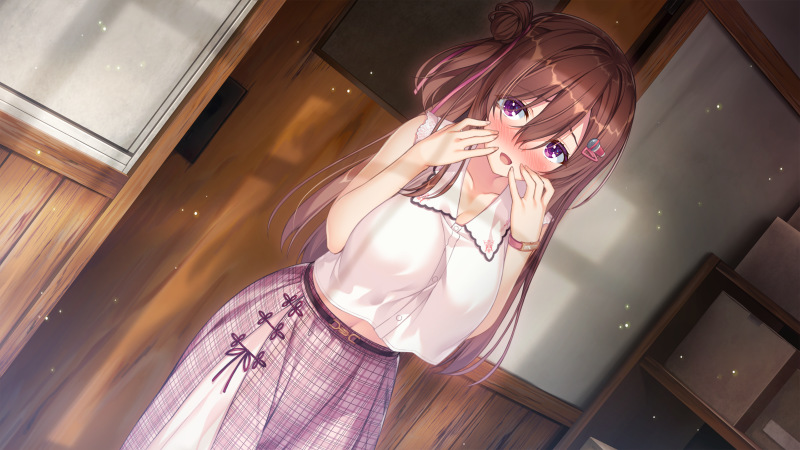 『MOONSTONE Cherry』最新作「夕凪荘のS級の彼女たち2」公式サイト＆OPムービー公開 12月22日発売予定 : エロゲメモ