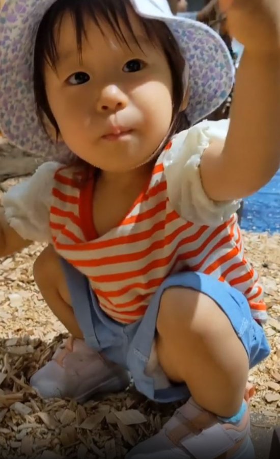 甲虫さがし : ettomio ニュース斜め読み