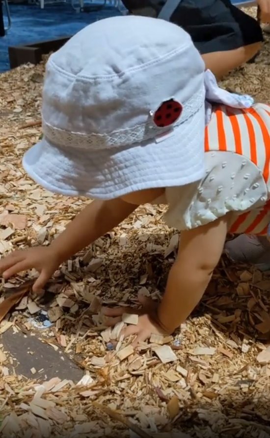 甲虫さがし : ettomio ニュース斜め読み