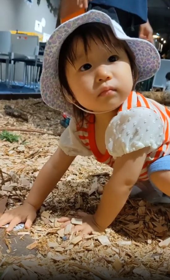 甲虫さがし : ettomio ニュース斜め読み