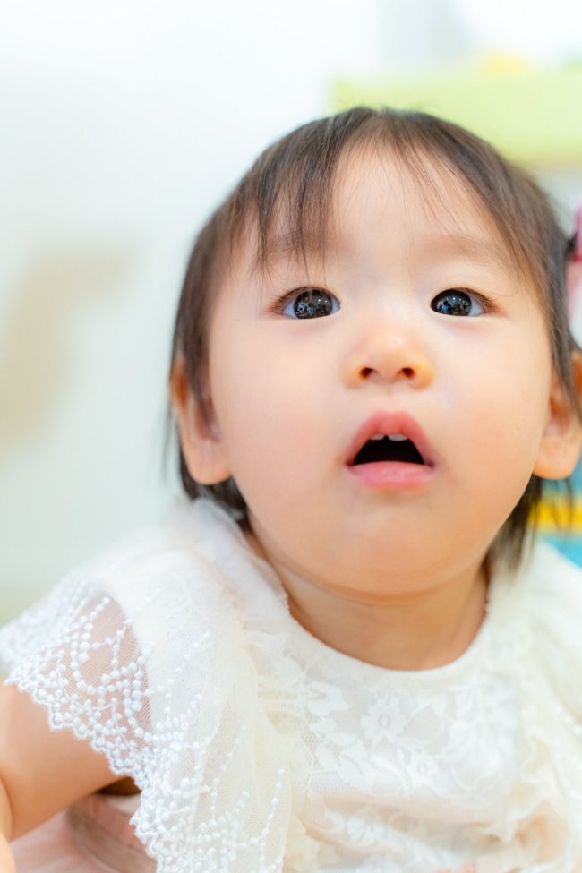 〇〇ちゃん一歳の記念写真 2 : ettomio ニュース斜め読み