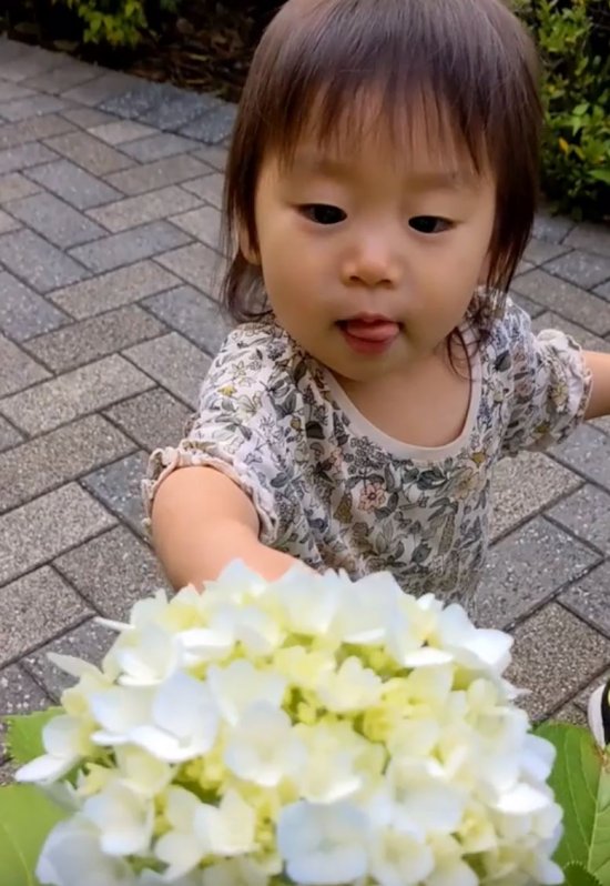 アジサ～イ ♪ : ettomio ニュース斜め読み