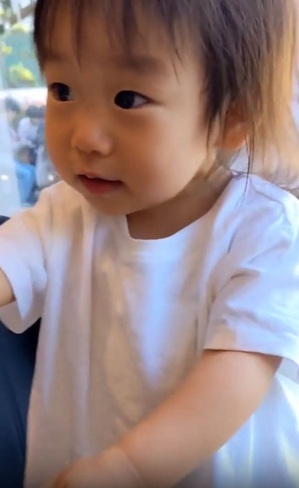 〇〇ちゃん、コッコ居ない居な～い : ettomio ニュース斜め読み