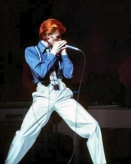 美女と野獣 Bowie : ettomio ニュース斜め読み