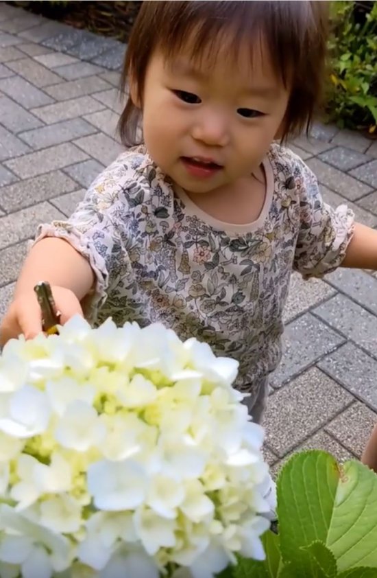 アジサ～イ ♪ : ettomio ニュース斜め読み