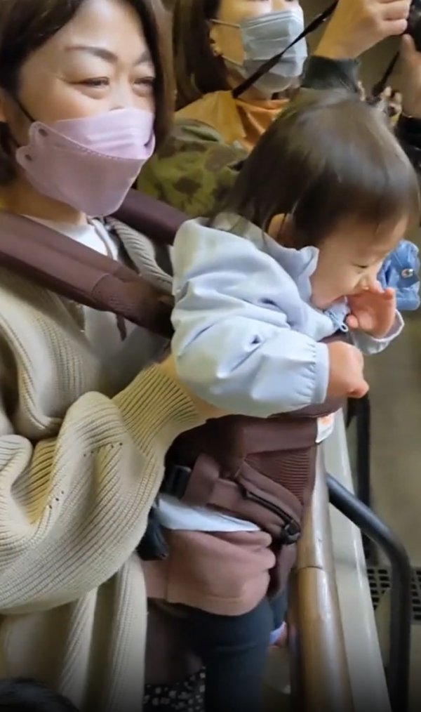 コアラと〇〇ちゃん : ettomio ニュース斜め読み