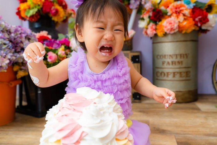 〇〇ちゃん一歳の記念写真 3 : ettomio ニュース斜め読み