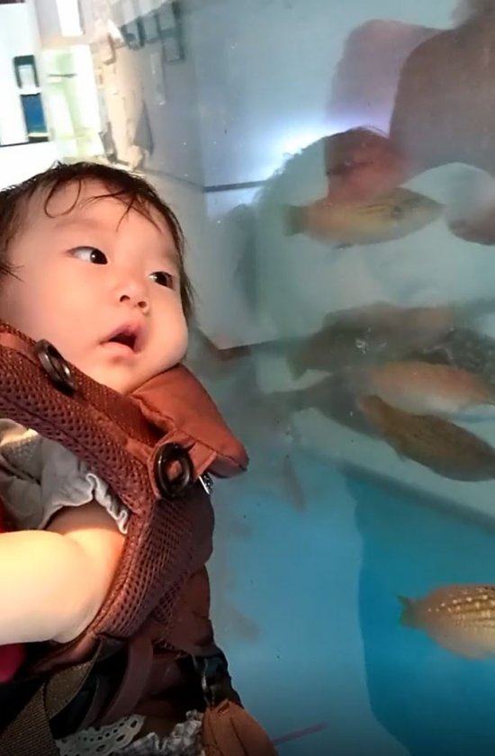 ettomio ニュース斜め読み : 〇〇ちゃん瀬戸内のハワイで