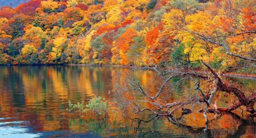 ああそうだ 十和田湖と蔦沼の錦繍 : ettomio ニュース斜め読み