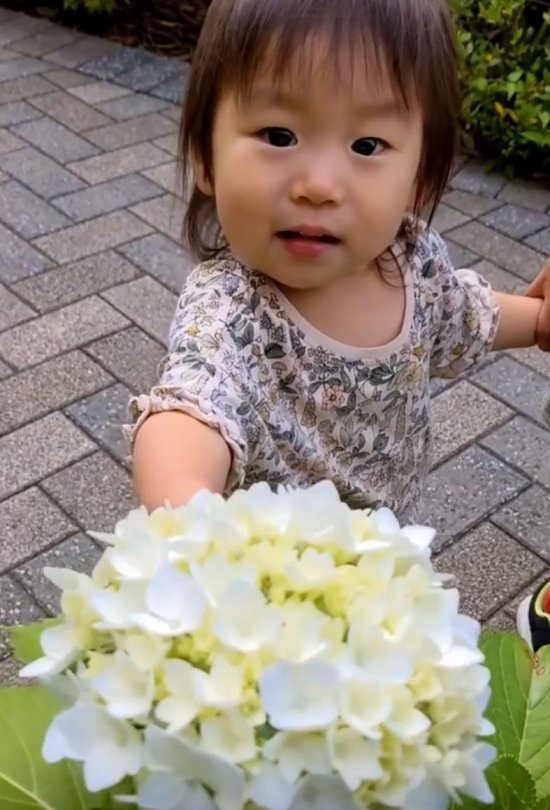 アジサ～イ ♪ : ettomio ニュース斜め読み