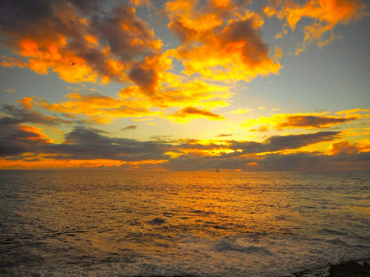 企業 : plenty of quality