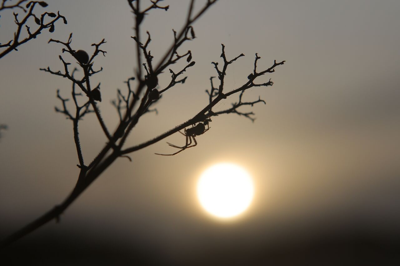 文学 : plenty of quality