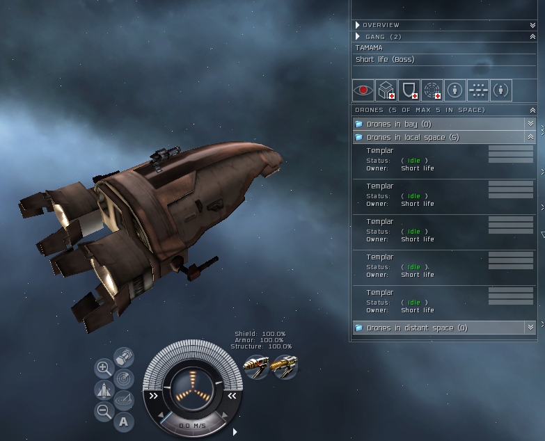EVE ONLINE 宙の旅:DRONE FIGHTER