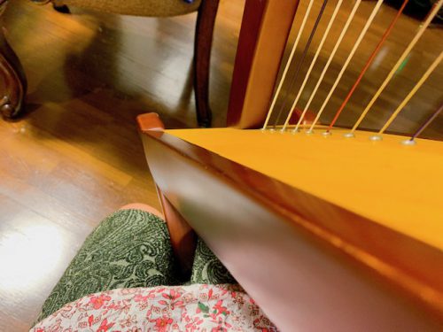 How to position your lap harp on your lap? : Everyday harp!! Posted by ...