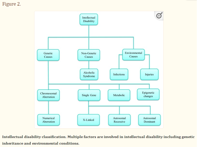 The genetics of intellectual disability: advancing technology and gene ...