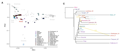 重要 Ancient Jomon genome sequence analysis sheds light on migration ...