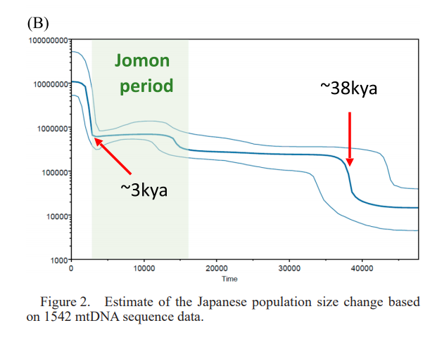 重要論文 Modern human DNA analyses with special reference to the inner dual ...