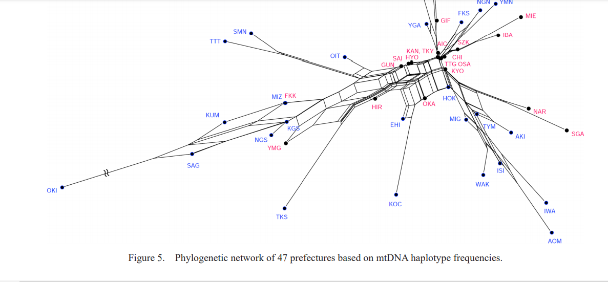 重要論文 Modern human DNA analyses with special reference to the inner dual ...