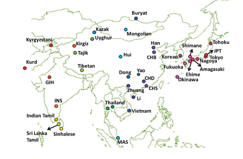 重要 アジア人SNP分析（重要論文） : 読書抜粋ノートブログ