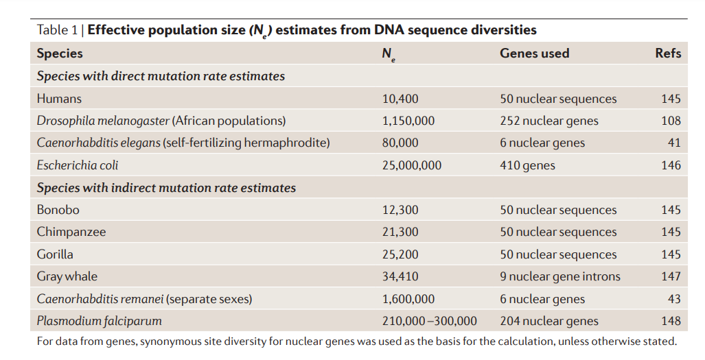 重要 Effective population size and patterns of molecular evolution and ...