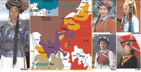 Mitochondrial origin of the matrilocal Mosuo people in China : 読書抜粋ノートブログ