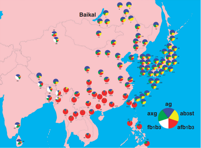 ⭕️The origin of the Japanese race based on genetic markers of ...