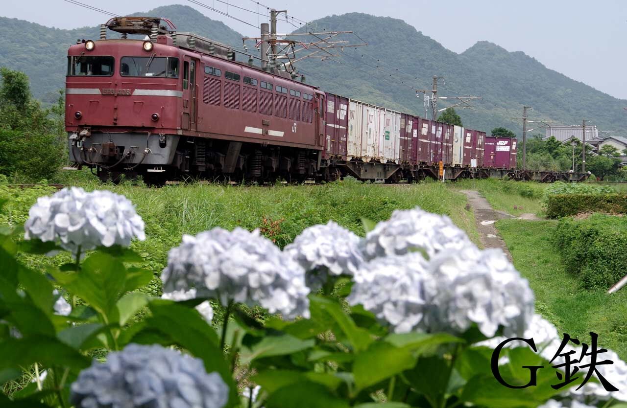 4075レを撮る アジサイの咲く頃 日豊本線 幸崎 2014年6月 : G鉄グラフィティ