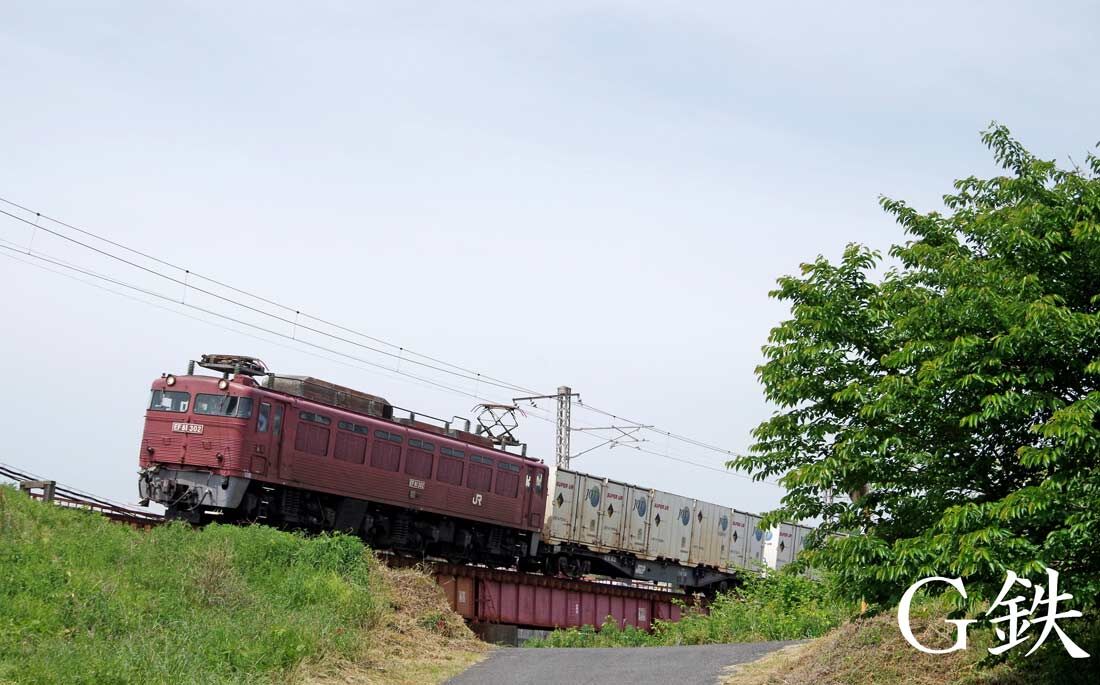 4075レを撮る EF81300番台の思い出 その2 EF81302 2013年5月 : G鉄グラフィティ