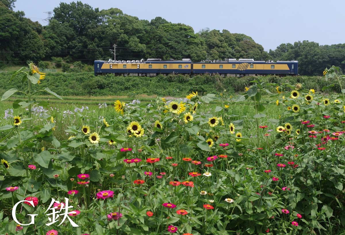 DEC741 夏の定期検測 日豊本線 幸崎 坂ノ市 2025年7月 : G鉄グラフィティ