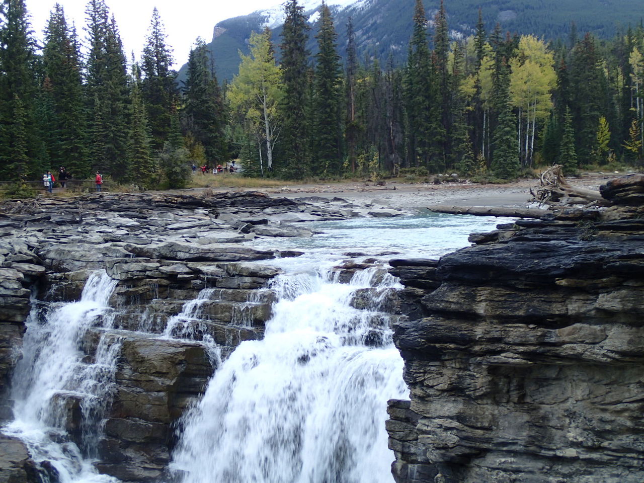 Explorer Canada Holidays Blog : 9/29 プライベート貸切ツアー