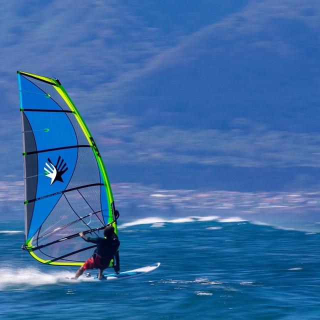 Ezzy：2020 「CHEETAH」リリース！ : PalmState - Ezzy/Angulo/KIALOA/K4fin