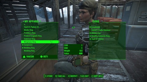 Wasteland Baubles : Fallout 4 MOD紹介ギャラリー フォールアウト4 (FO4)