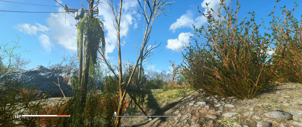 Tookie's Textures-Grass and Plants : Fallout 4 MOD紹介ギャラリー フォールアウト4 (FO4)