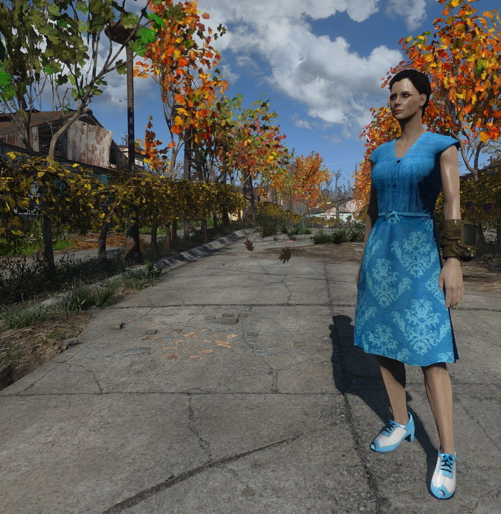 Beautiful Dresses : Fallout 4 MOD紹介ギャラリー フォールアウト4 (FO4)